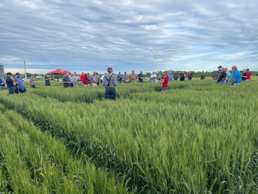 South Central & East Nebraska Wheat Variety Tour - Field Tips Nebraska